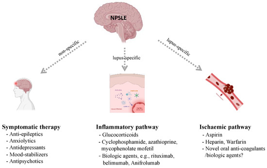 Progress in the Pathogenesis and Treatment of Neuropsychiatric Systemic Lupus Erythematosus
