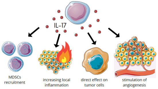Interleukin 17 and Its Involvement in Renal Cell Carcinoma