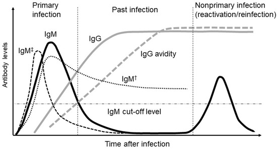 Pitfalls in the Serological Evaluation of Maternal Cytomegalovirus Infection as a Potential ...