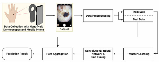 MobileSkin: Classification of Skin Lesion Images Acquired Using Mobile ...