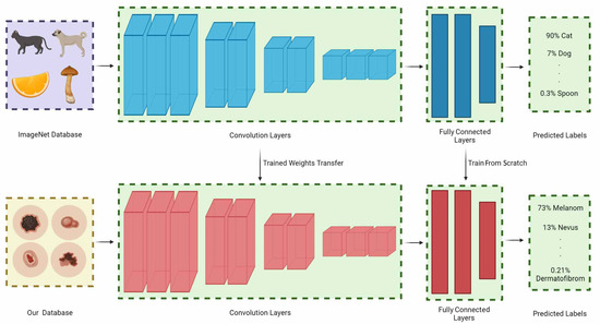 MobileSkin: Classification of Skin Lesion Images Acquired Using Mobile ...