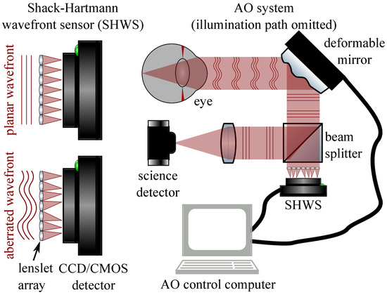 Advances in Optical Coherence Tomography Imaging Technology and ...