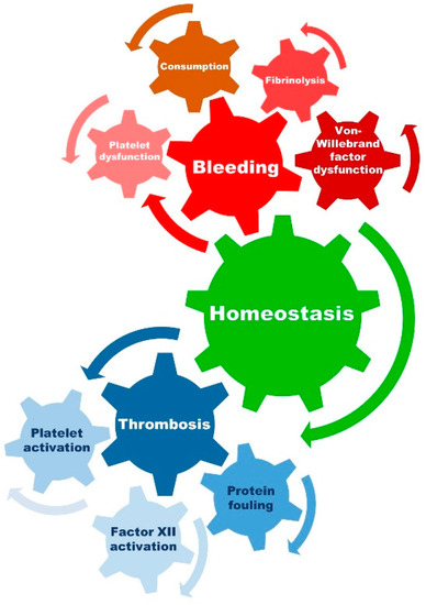 Anticoagulation Strategies during Extracorporeal Membrane Oxygenation ...