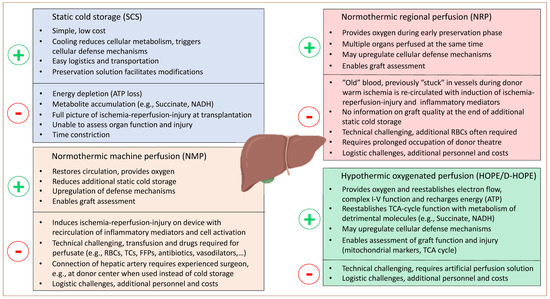 Machine Perfusion for Extended Criteria Donor Livers: What Challenges ...