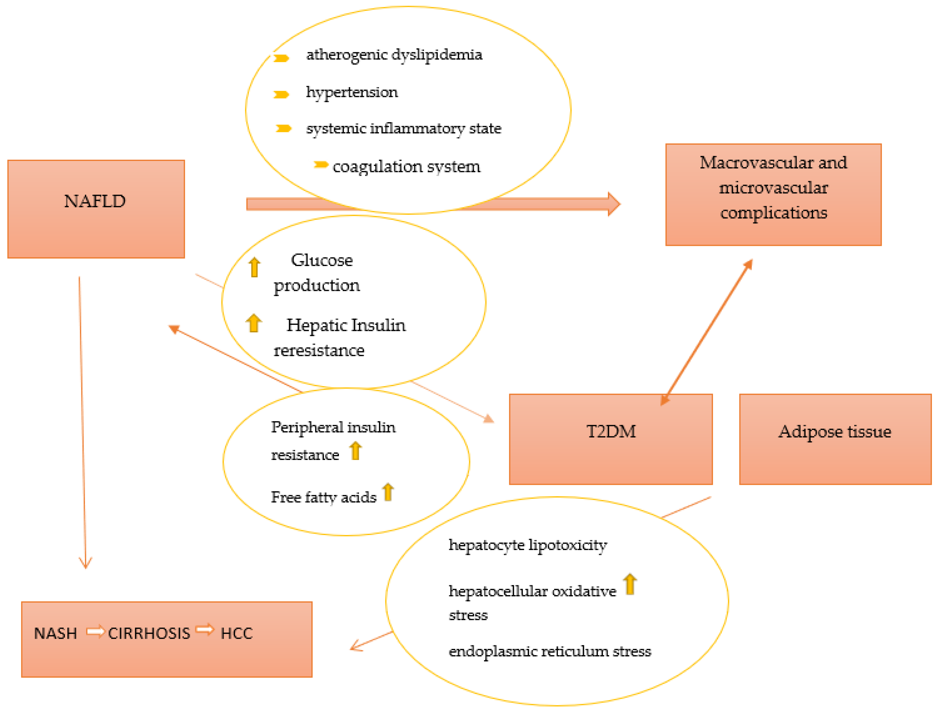 Gastrointestinal and Liver Complications in Patients with Diabetes ...