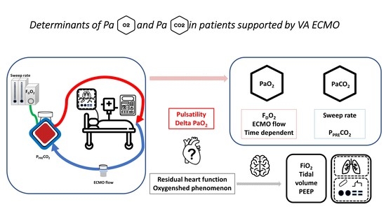 JCM | Free Full-Text | Determinants of Arterial Pressure of Oxygen and ...