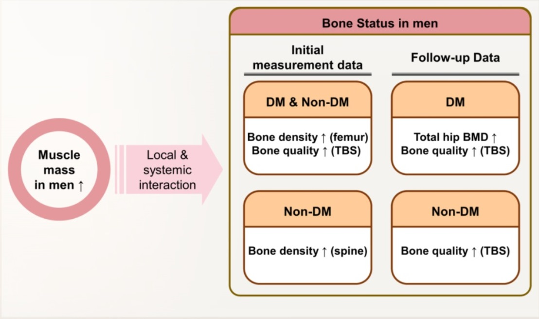 JCM | Free Full-Text | The Positive Association between Muscle Mass and ...