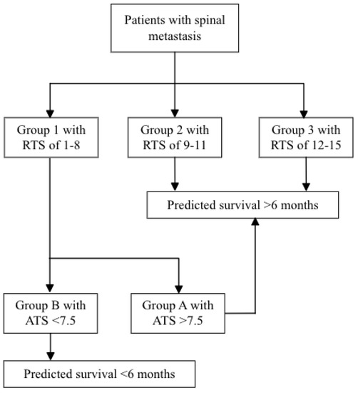 Optimization of Tokuhashi Scoring System to Improve Survival Prediction ...