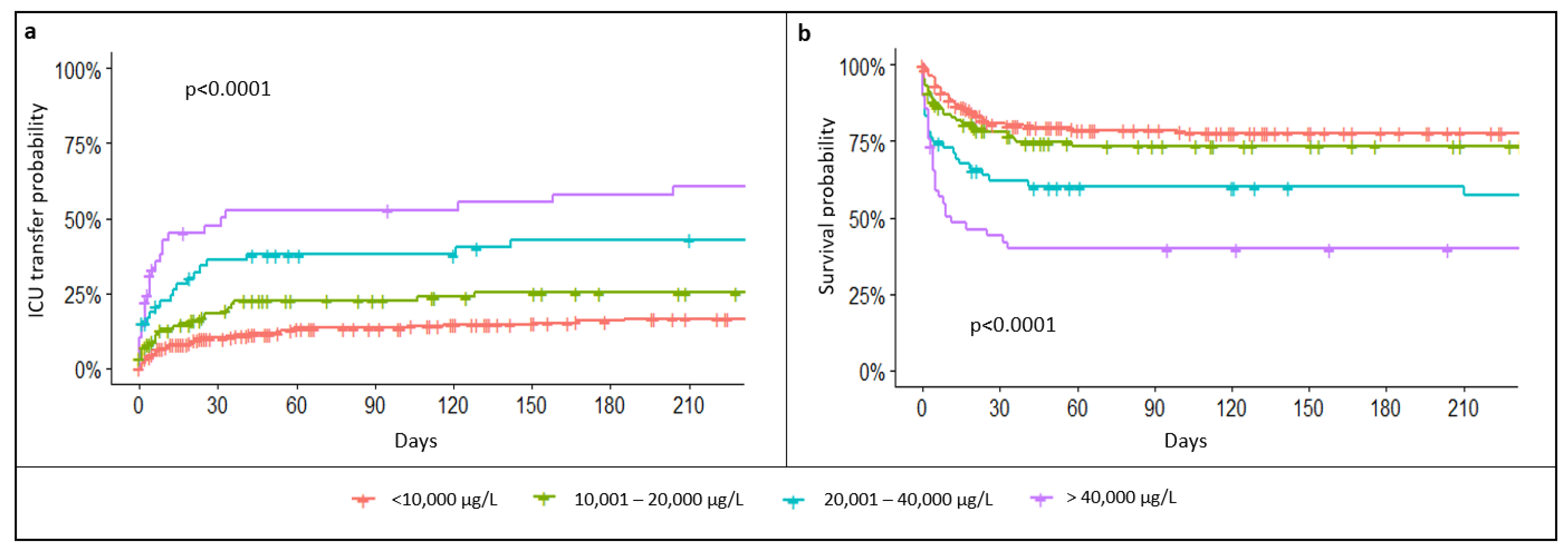 Extreme Hyperferritinemia: Causes and Prognosis