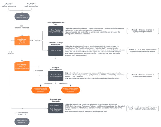 COVID-19 Salivary Protein Profile: Unravelling Molecular Aspects of ...
