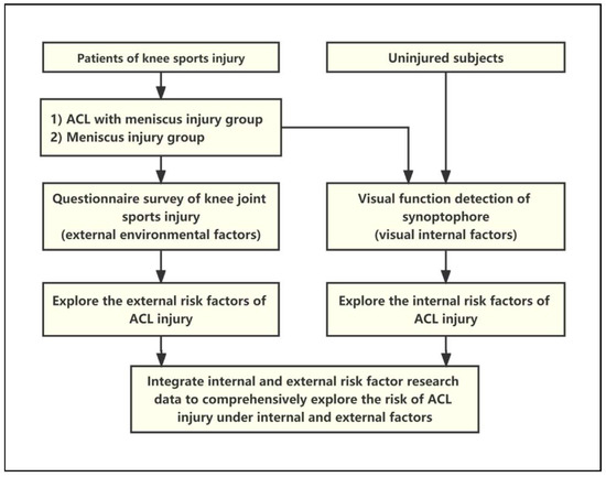 JCM | Free Full-Text | Analysis of Visual Risk Factors of Anterior ...