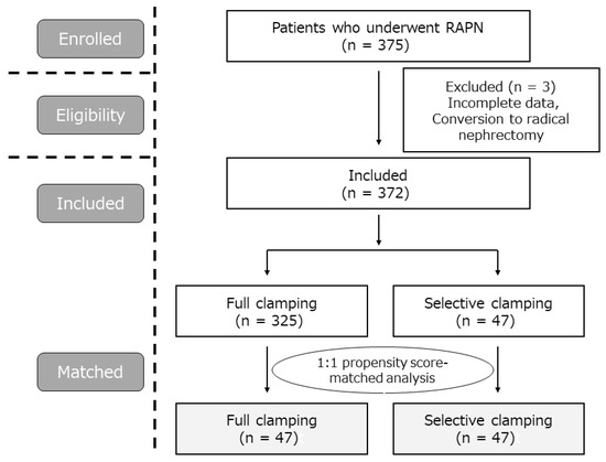 Functional Outcomes after Selective Clamping in Robot-Assisted Partial Nephrectomy