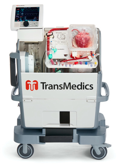 Heart Donation and Preservation: Historical Perspectives, Current ...