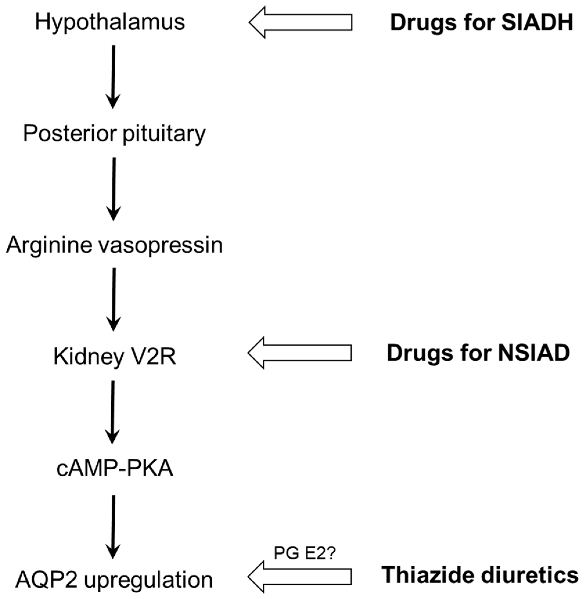 Mechanism Of Bone Disease Induced By Hyponatremia Dow - vrogue.co Mechanism Of Bone Disease Induced By Hyponatremia Dow - vrogue.co