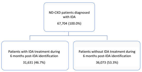 JCM | Free Full-Text | The Influence of Iron-Deficiency Anaemia (IDA ...