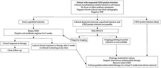 Cardiac Implantable Electronic Devices Infection Assessment, Diagnosis ...
