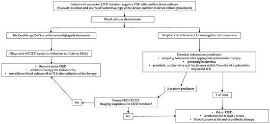 Cardiac Implantable Electronic Devices Infection Assessment, Diagnosis ...