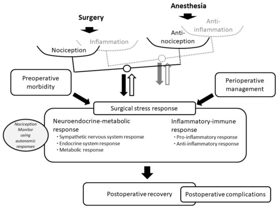 Intraoperative Assessment of Surgical Stress Response Using Nociception ...