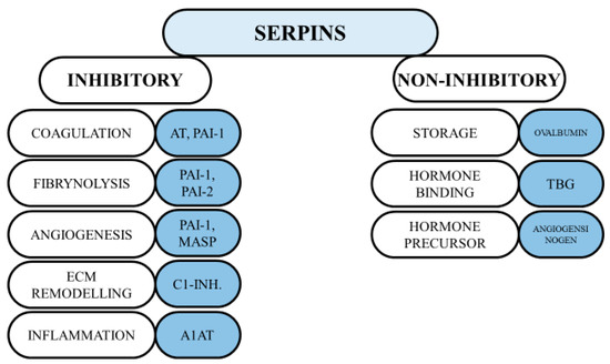 The Role of Selected Serpins in Gastrointestinal (GI) Malignancies