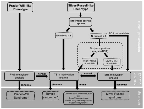 Temple Syndrome: Clinical Findings, Body Composition and Cognition in ...