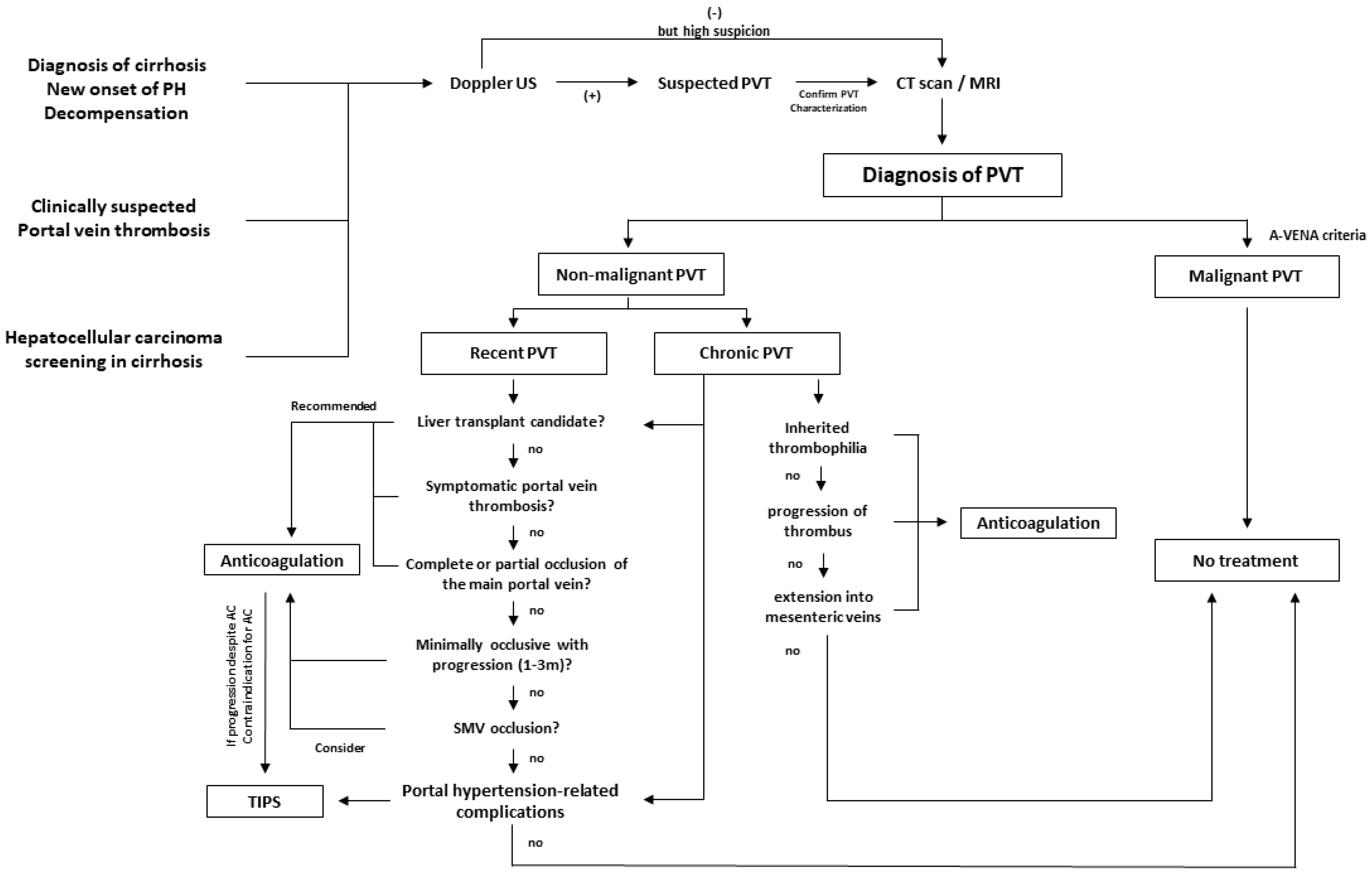 Jcm Free Full Text Portal Vein Thrombosis In The Setting Of