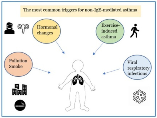 An Overview on the Primary Factors That Contribute to Non-Allergic ...