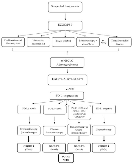 Significance of the Lung Immune Prognostic Index for Assessment of the ...
