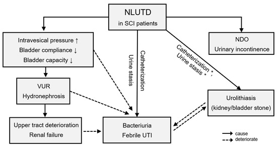Bladder Management Strategies for Urological Complications in Patients ...