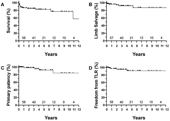 Long-Term Outcomes following Common Femoral Endarterectomy