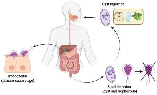 Incidence, Management Experience and Characteristics of Patients with ...