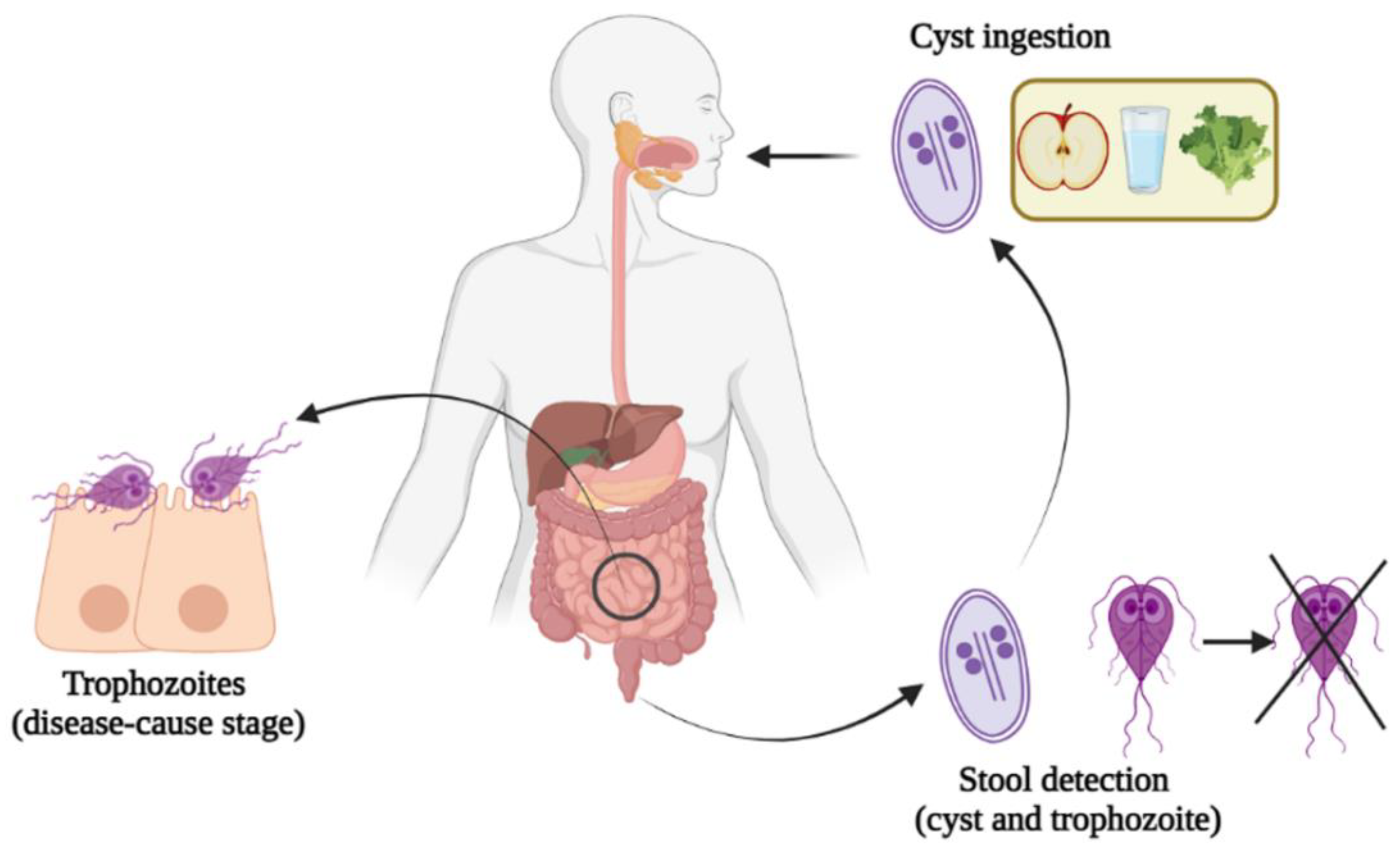 Jcm Free Full Text Incidence Management Experience And