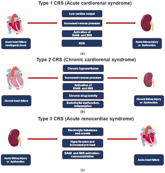 Heart Failure and Cardiorenal Syndrome: A Narrative Review on Pathophysiology, Diagnostic and ...
