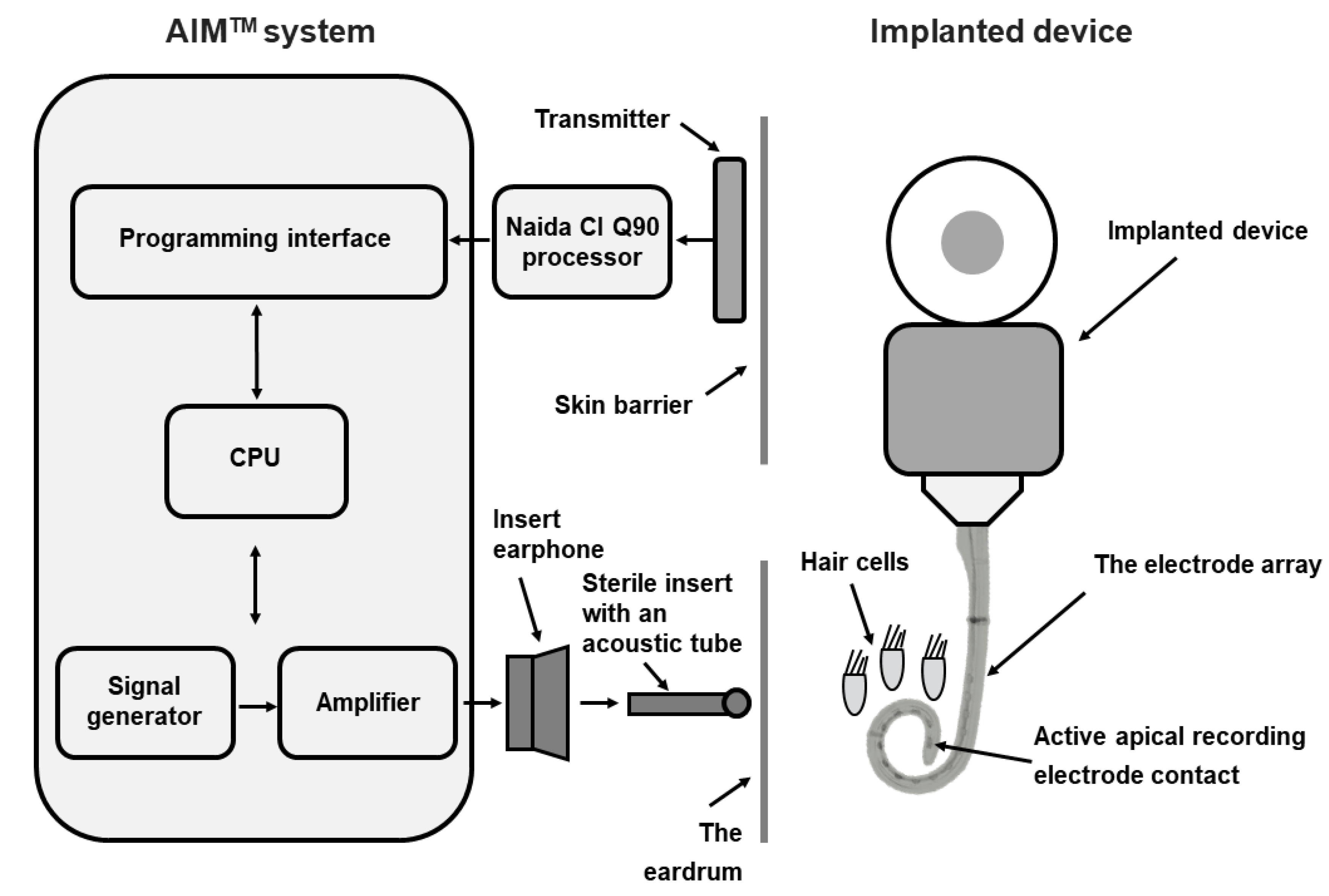 Robot-Assisted Electrode Insertion in Cochlear Implantation Controlled ...