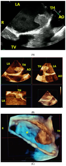 JCM | Free Full-Text | Utilization of Two- and Three-Dimensional ...