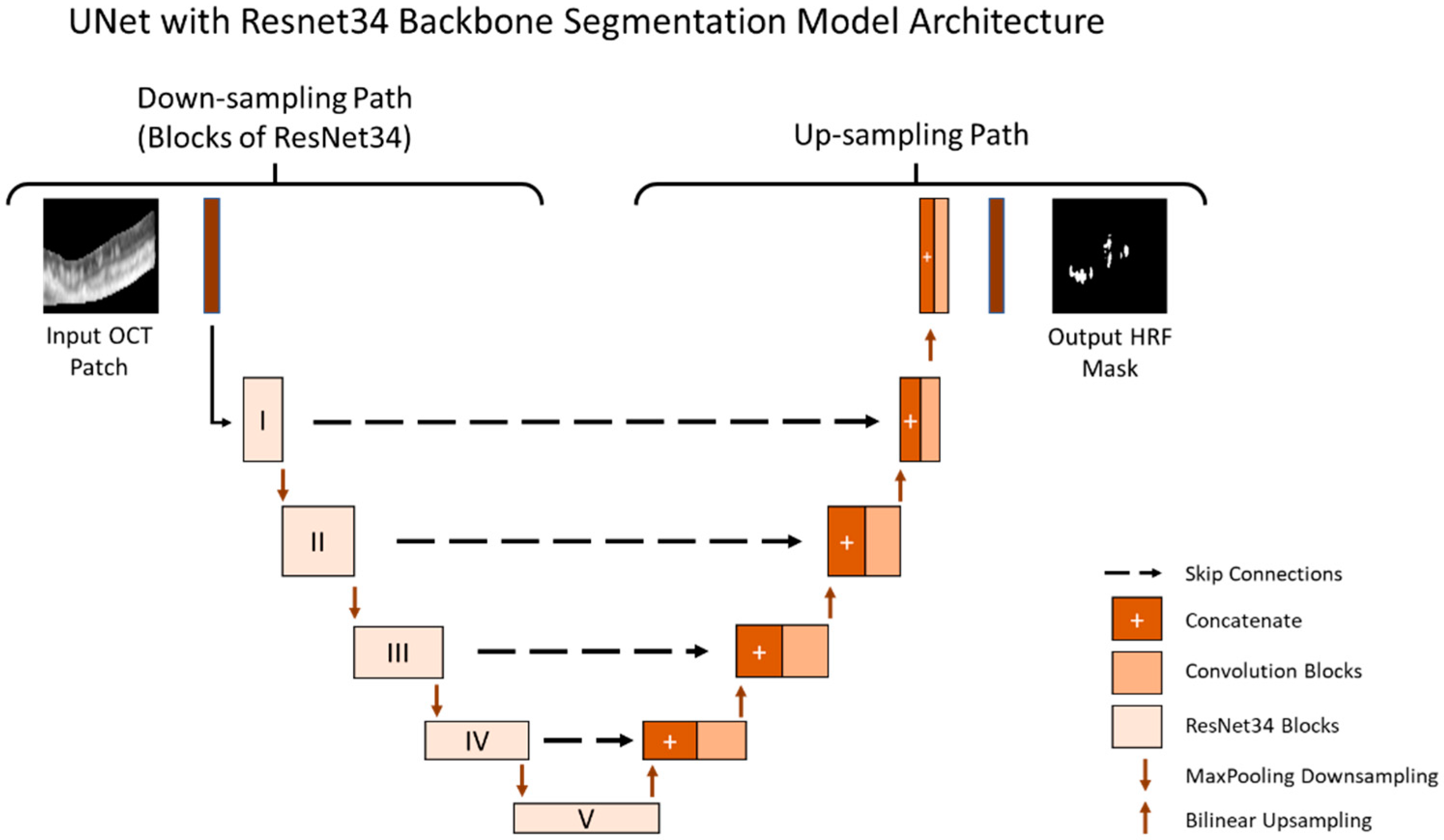 Automated Region of Interest Selection Improves Deep Learning-Based Segmentation of Hyper ...