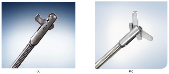 Endoscopic Internalization by Cutting the Endoscopic Transpapillary ...