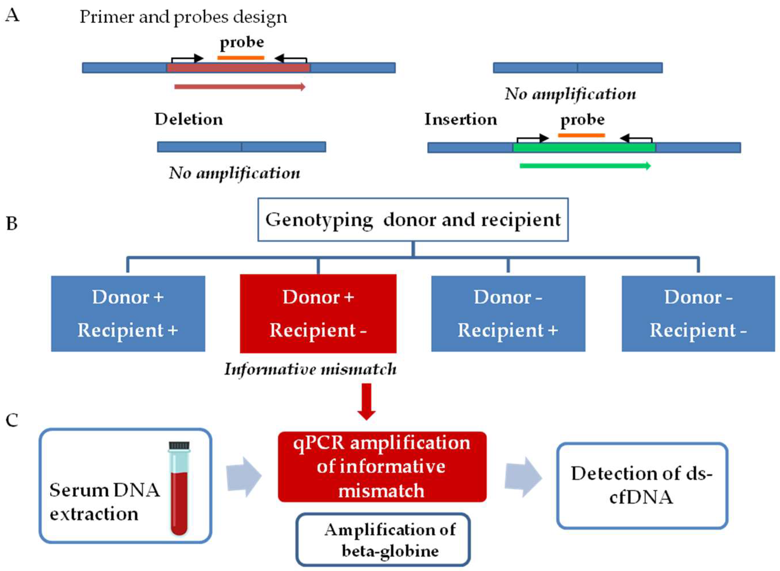 JCM | Free Full-Text | Donor-Specific Cell-Free DNA qPCR Quantification as a Noninvasive ...