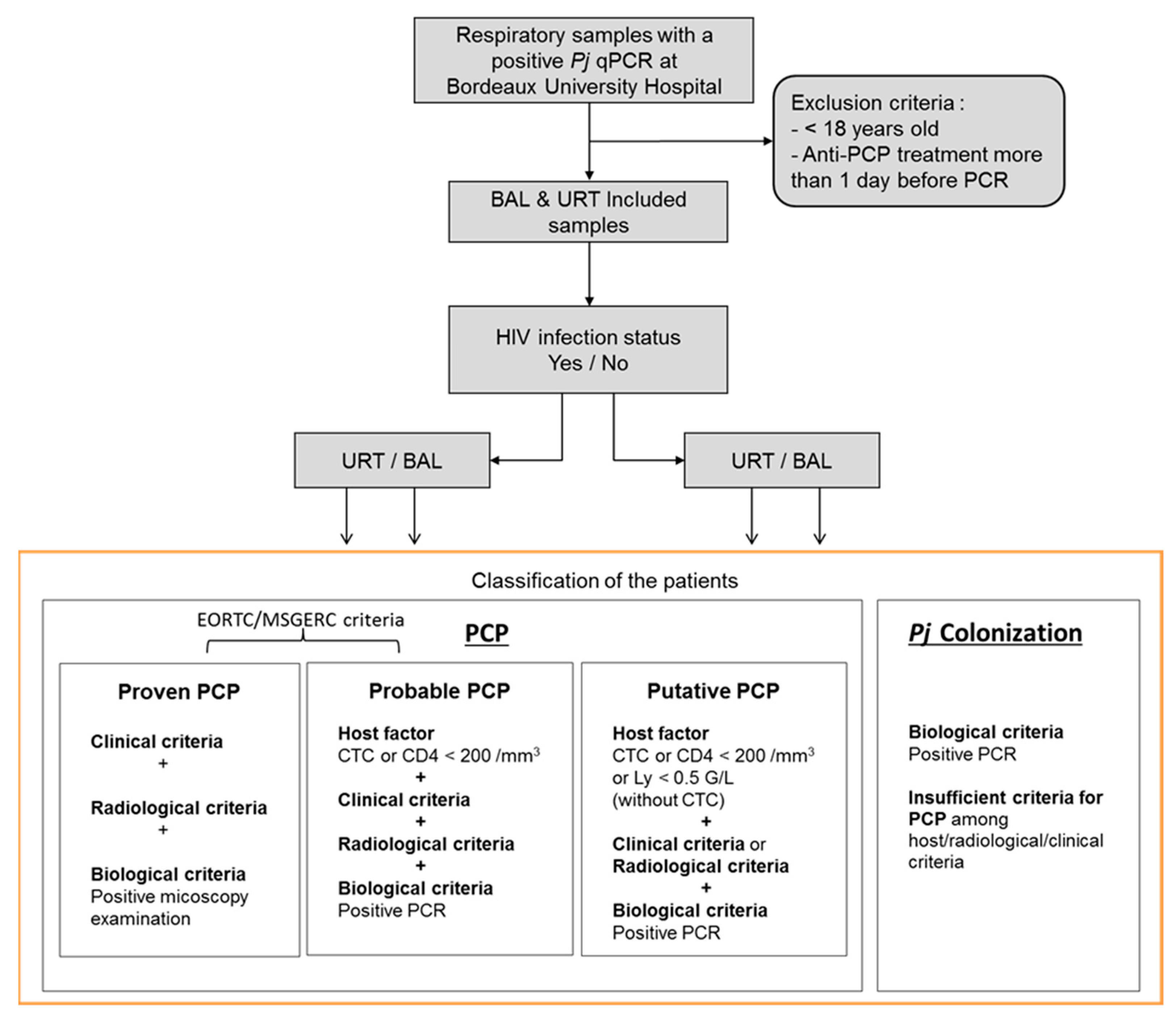 JCM | Free Full-Text | Interest of a Commercialized Pneumocystis ... JCM | Free Full-Text | Interest of a Commercialized Pneumocystis ...