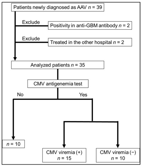Predictive Factors of Cytomegalovirus Viremia during the Clinical Course of Anti-Neutrophil ...
