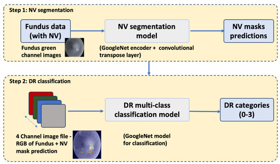 Segmentation-Assisted Fully Convolutional Neural Network Enhances Deep ...