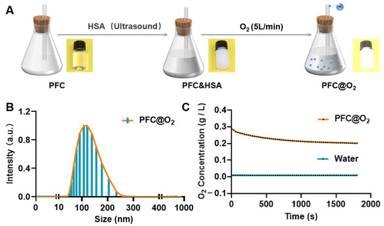 PFC@O2 Targets HIF-1α to Reverse the Immunosuppressive TME in OSCC
