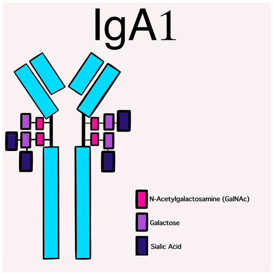 Viral Infections May Be Associated with Henoch–Schönlein Purpura