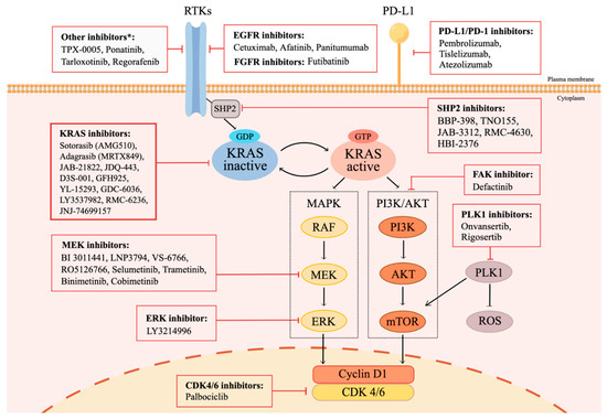 JCM | Free Full-Text | KRAS Mutations in Solid Tumors: Characteristics ...