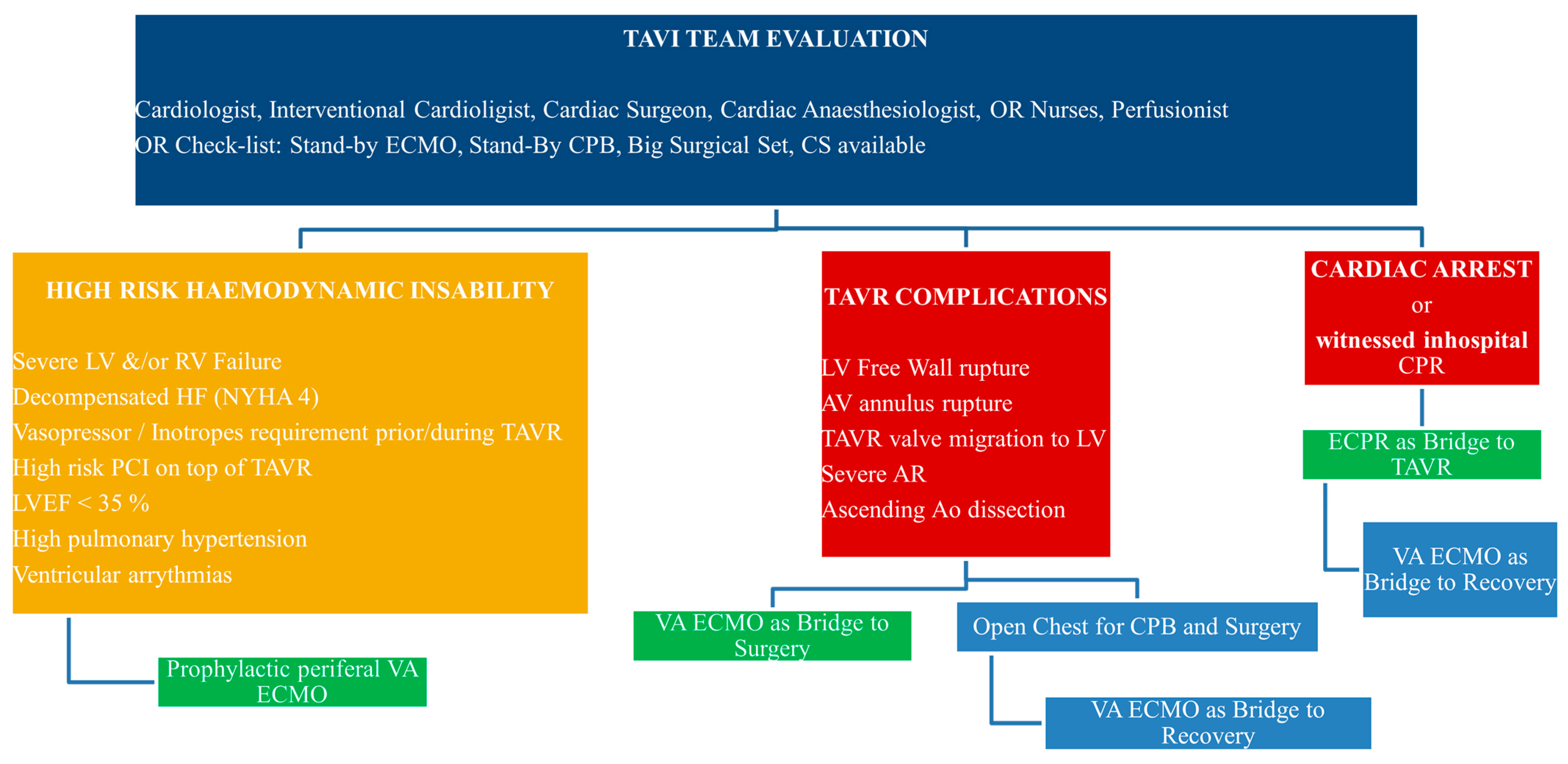 Prophylactic Awake Peripheral V-A ECMO during TAVR