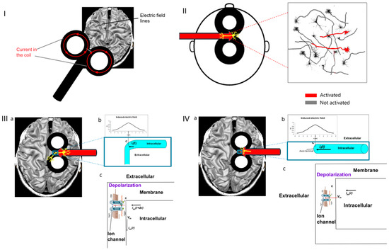 Revisiting the Rotational Field TMS Method for Neurostimulation