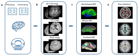 Progress in Brain Magnetic Resonance Imaging of Individuals with Prader ...