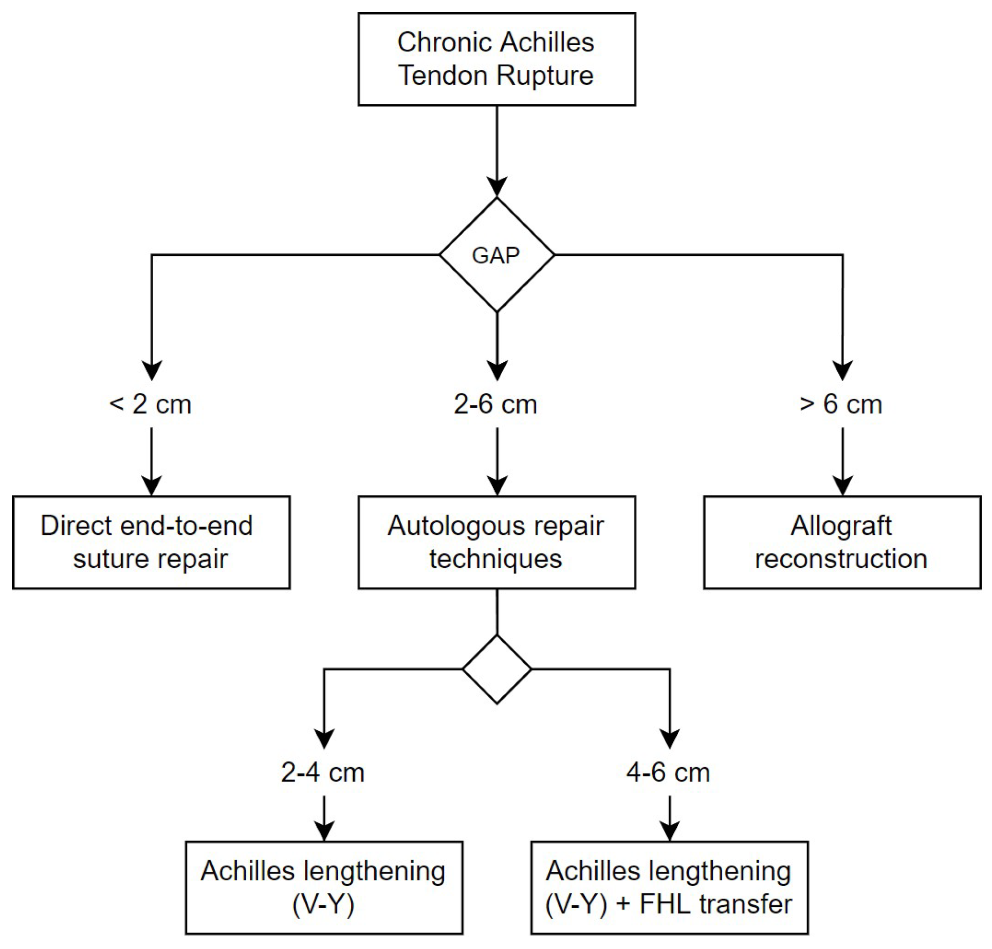 Allograft and Autologous Reconstruction Techniques for Neglected ...