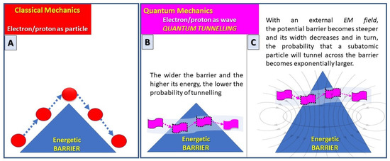 Cardiac Contractility Modulation Therapy in Patients with Amyloid ...