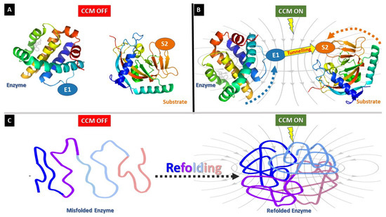 Cardiac Contractility Modulation Therapy in Patients with Amyloid ...