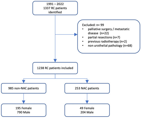 Diminishing the Gender-Related Disparity in Survival among Chemotherapy ...